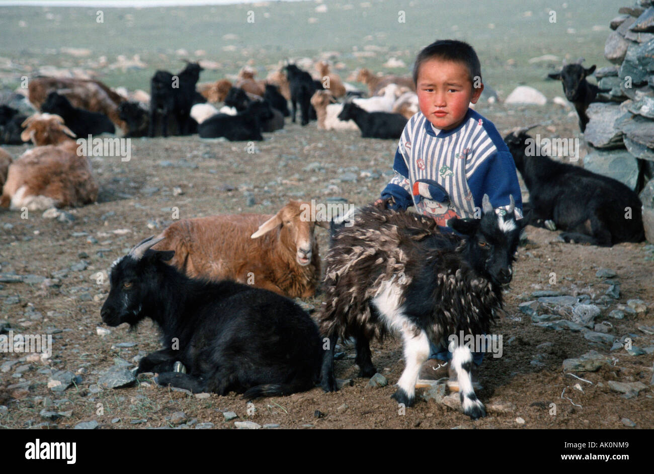 Boy with goats hi-res stock photography and images - Alamy