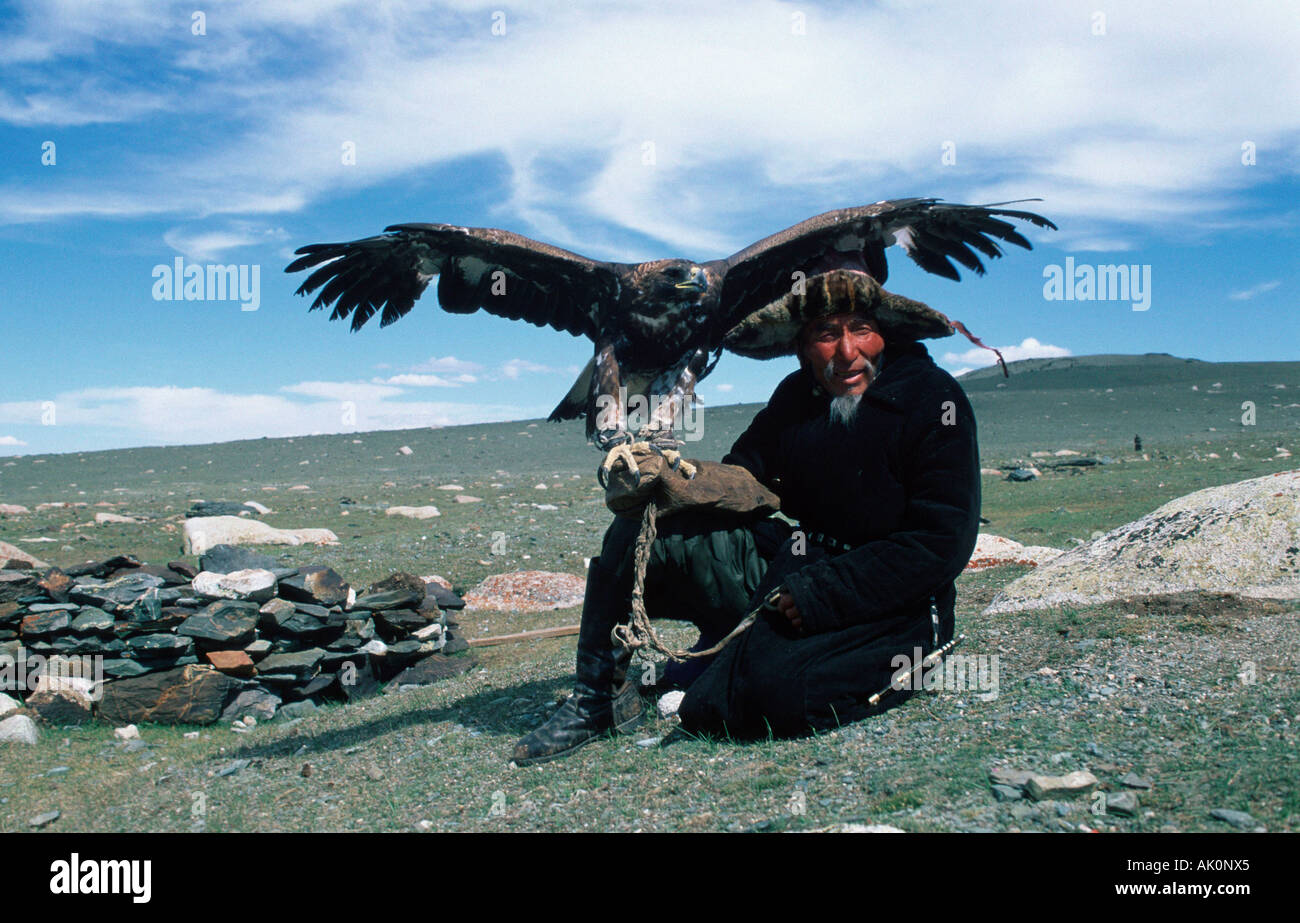 Female golden eagle hi-res stock photography and images - Alamy