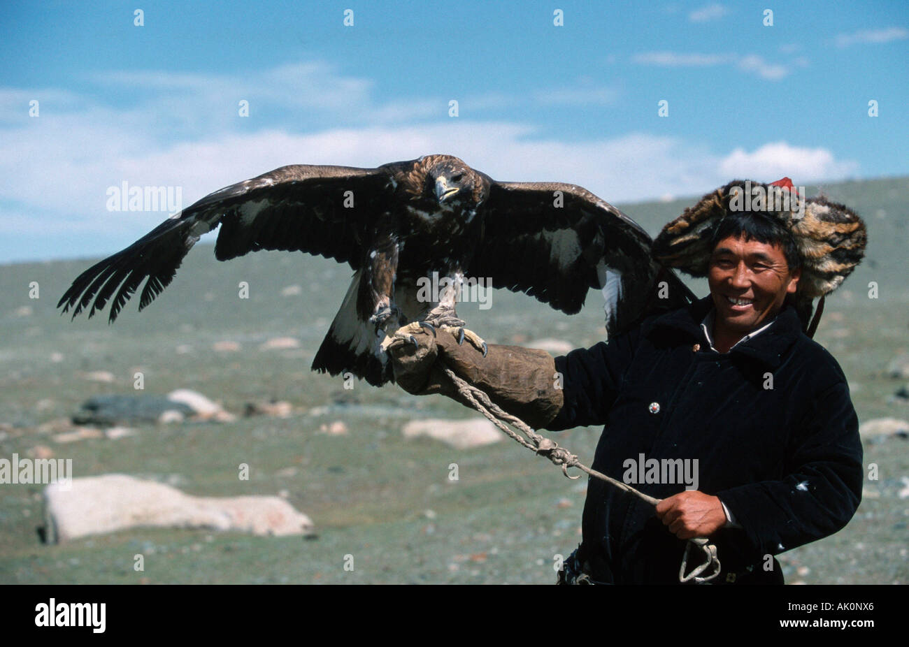 Upright standing eagle hi-res stock photography and images - Alamy
