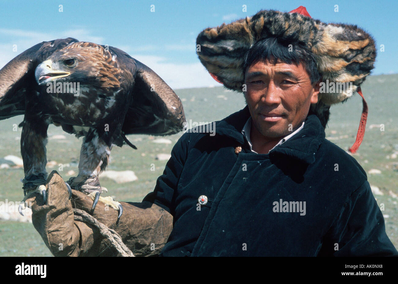 Golden Eagle Hunter Stock Photo - Alamy