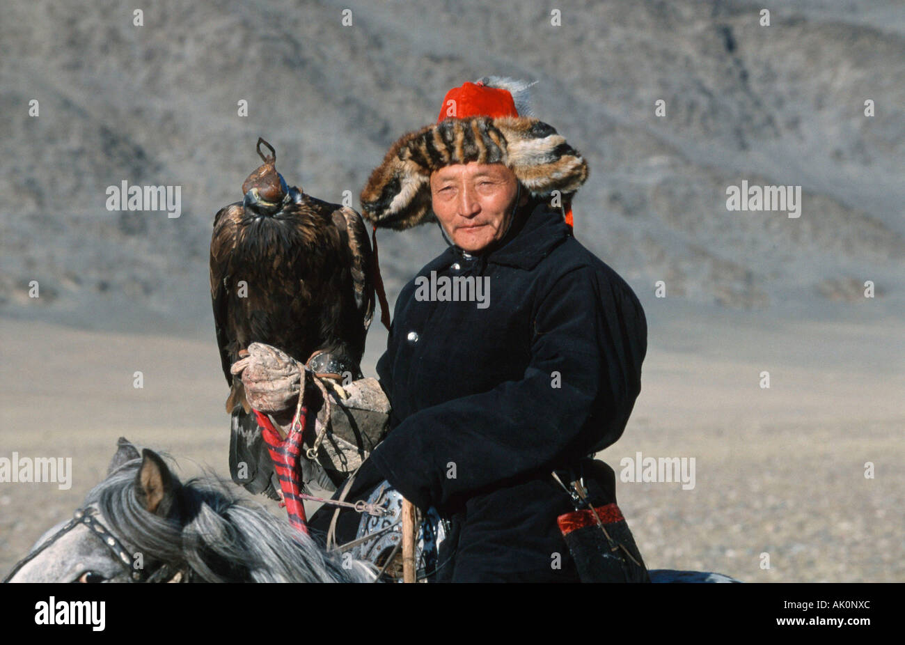 Golden Eagle Hunter Stock Photo - Alamy