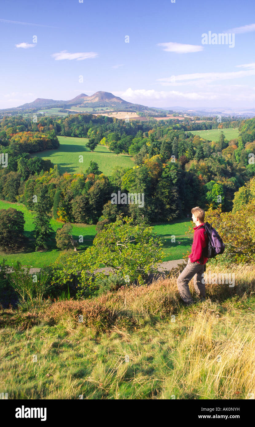 Autumn Scotts View in the Scottish Borders walker admiring the autumnal ...