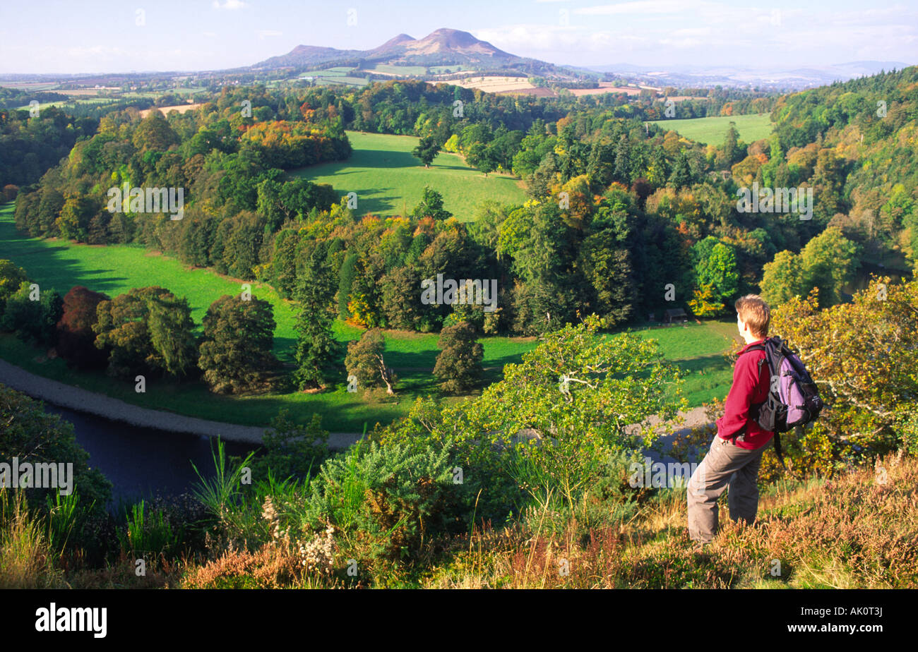 Autumn Scotts View in the Scottish Borders walker admiring the autumnal ...