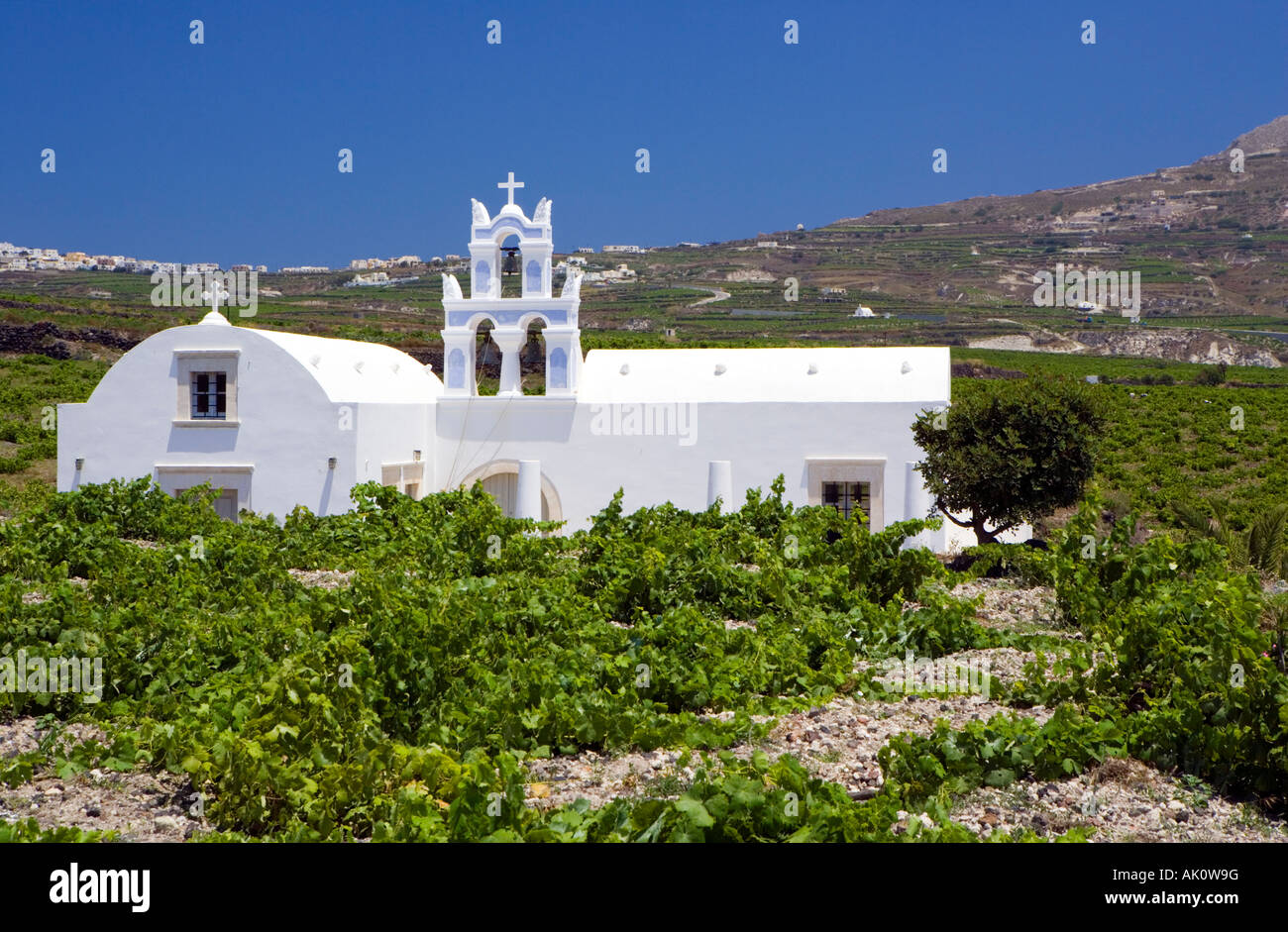 Tiny church amidst grape vines Santorini Greece Stock Photo - Alamy