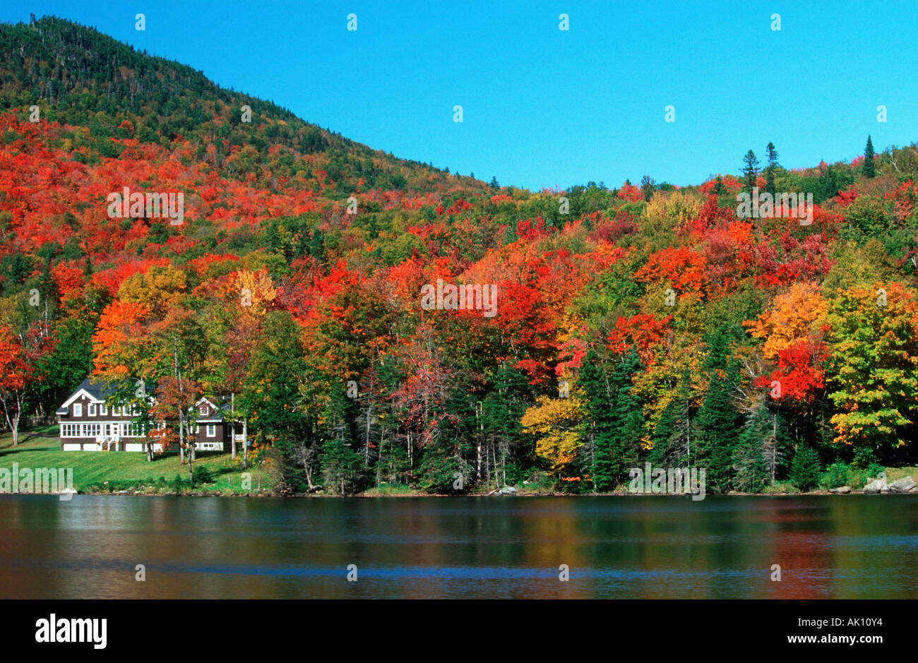 Balsams wilderness hi-res stock photography and images - Alamy