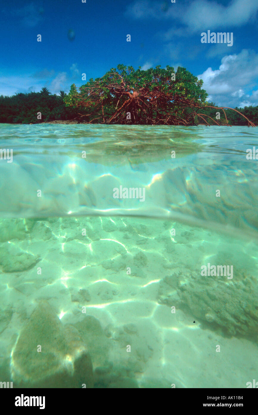 Mili atoll hi-res stock photography and images - Alamy