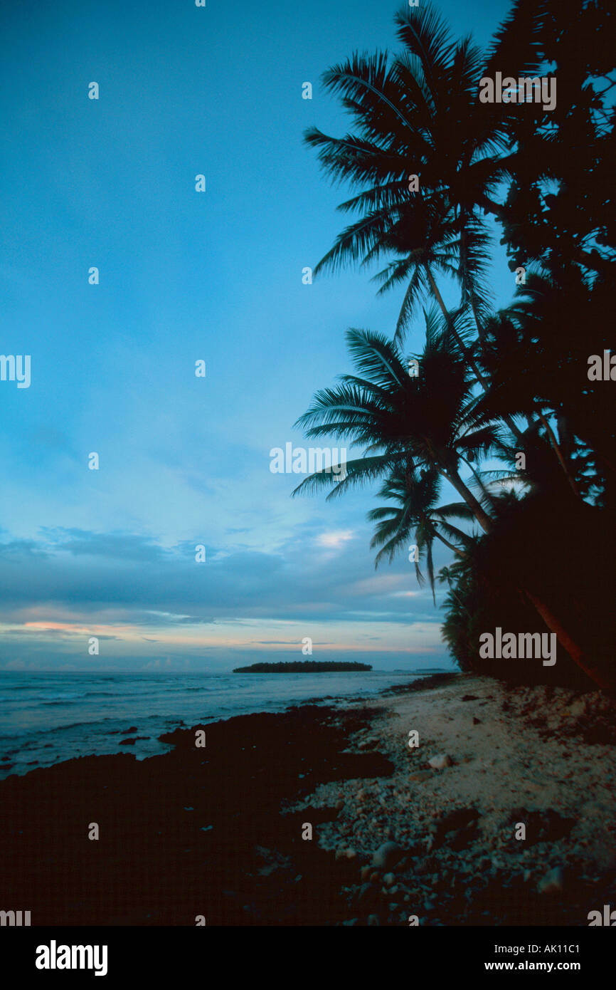 Sunrise and palm trees Tokewa I Mili Marshall Islands N Pacific Stock ...