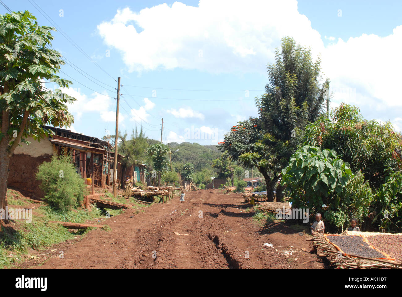 The birth place of coffee. The high street in the village of Choche ...