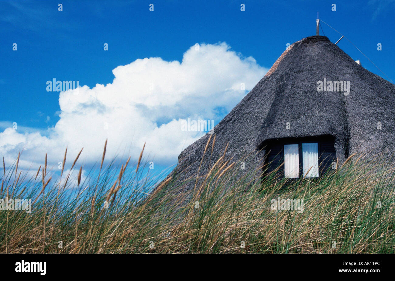 Rieddach hi-res stock photography and images - Alamy