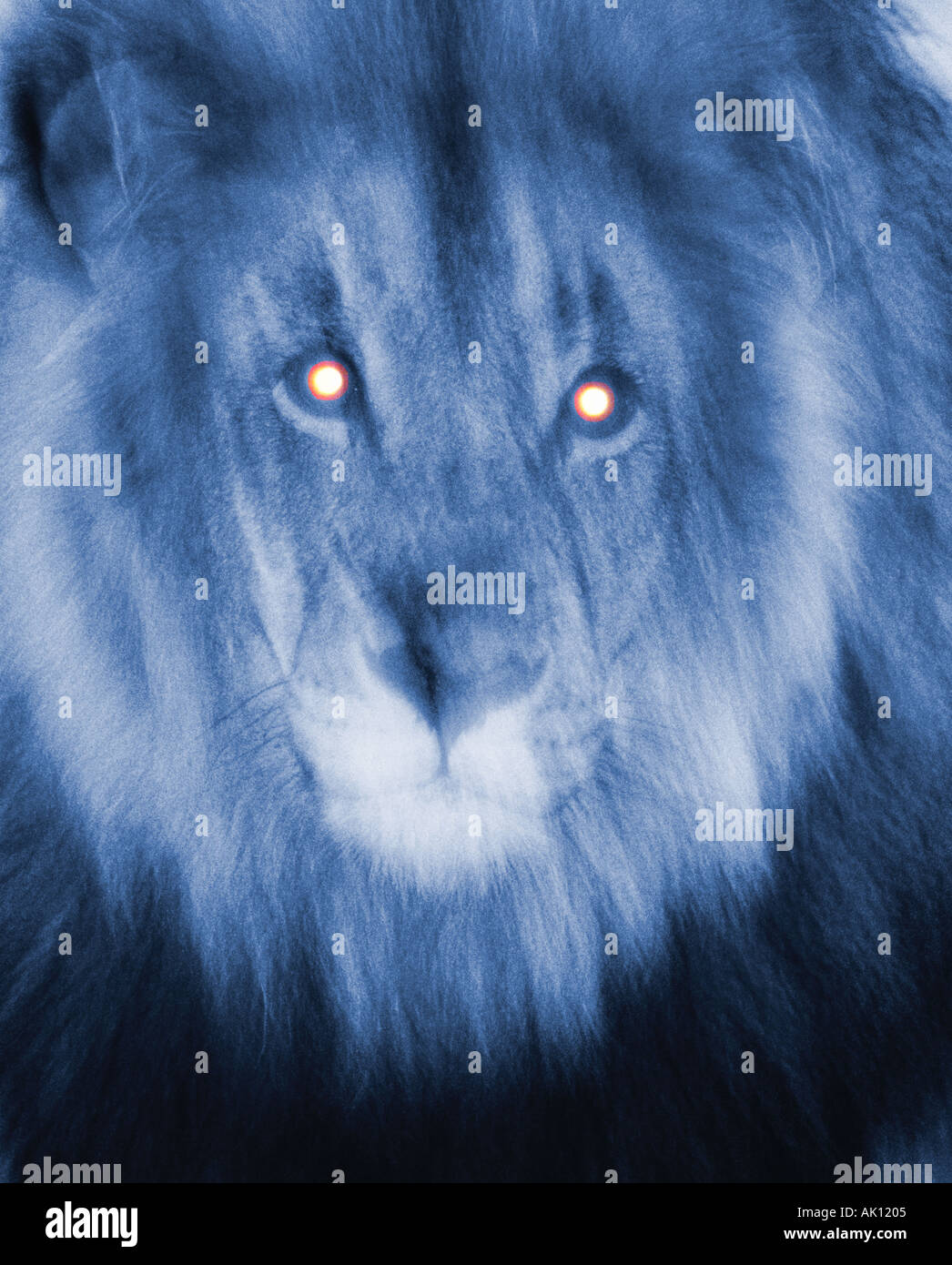 Lion menace hi-res stock photography and images - Alamy