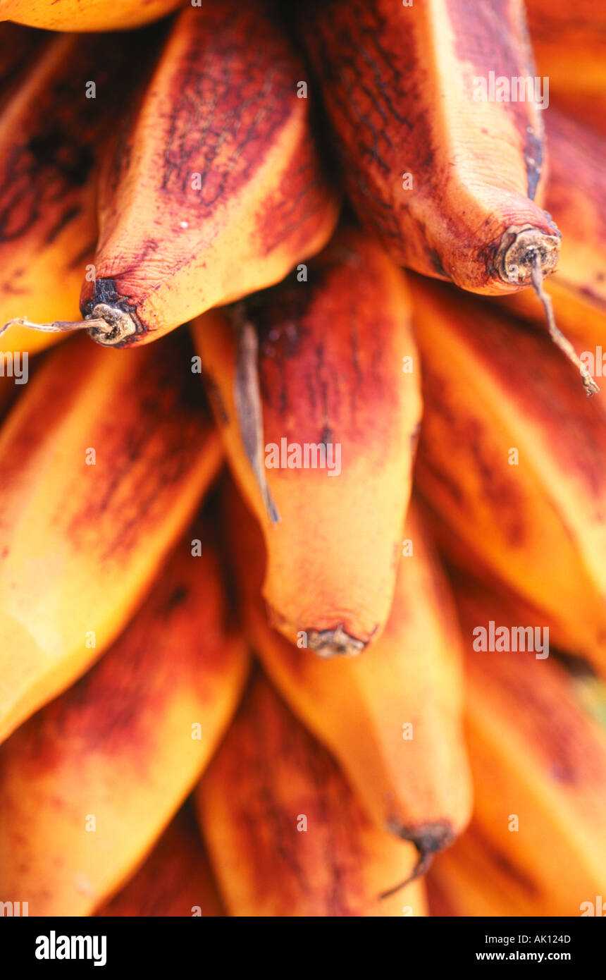Pile of plantains hi-res stock photography and images - Alamy