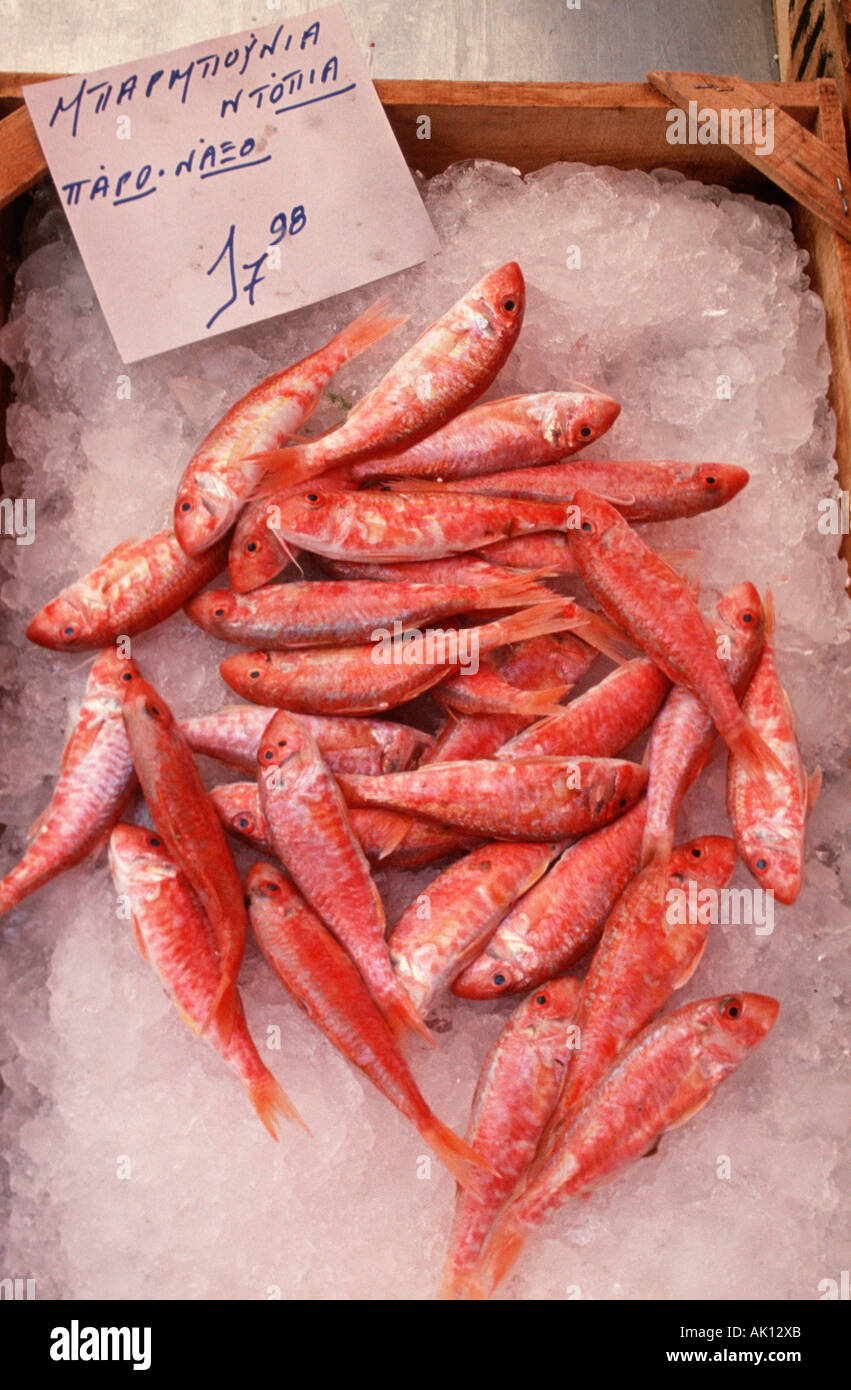 Fish on ice / Athen / Fisch auf Eis Stock Photo - Alamy