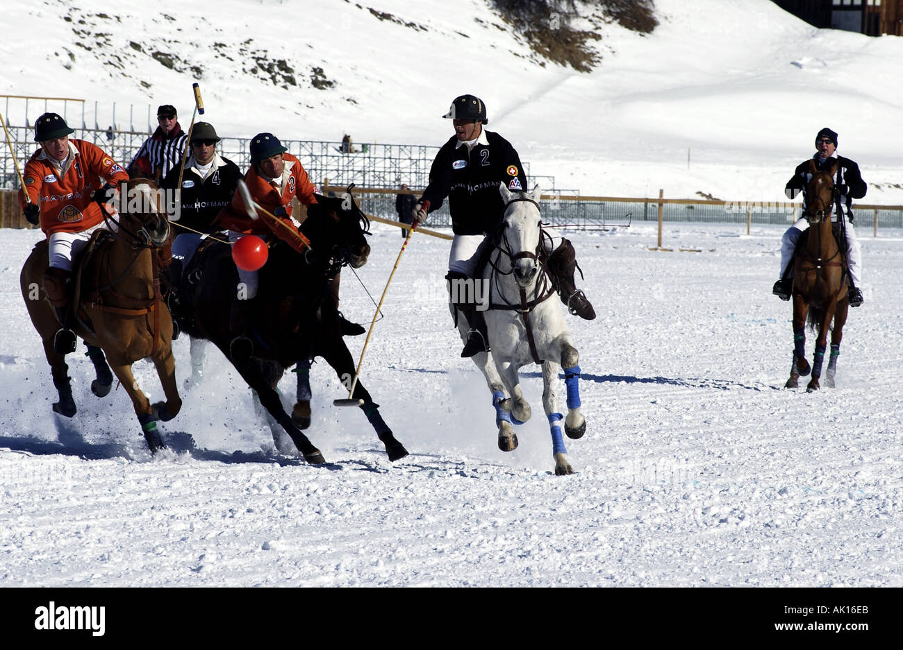 CARTIER POLO ON SNOW STMORITZ 250103 BANK HOFMANN VS MAYBACH Stock ...