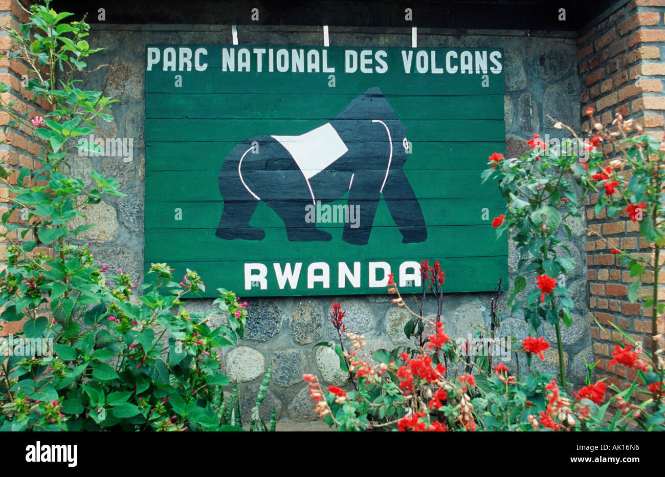 Mountain Gorilla Sign Stock Photo - Alamy