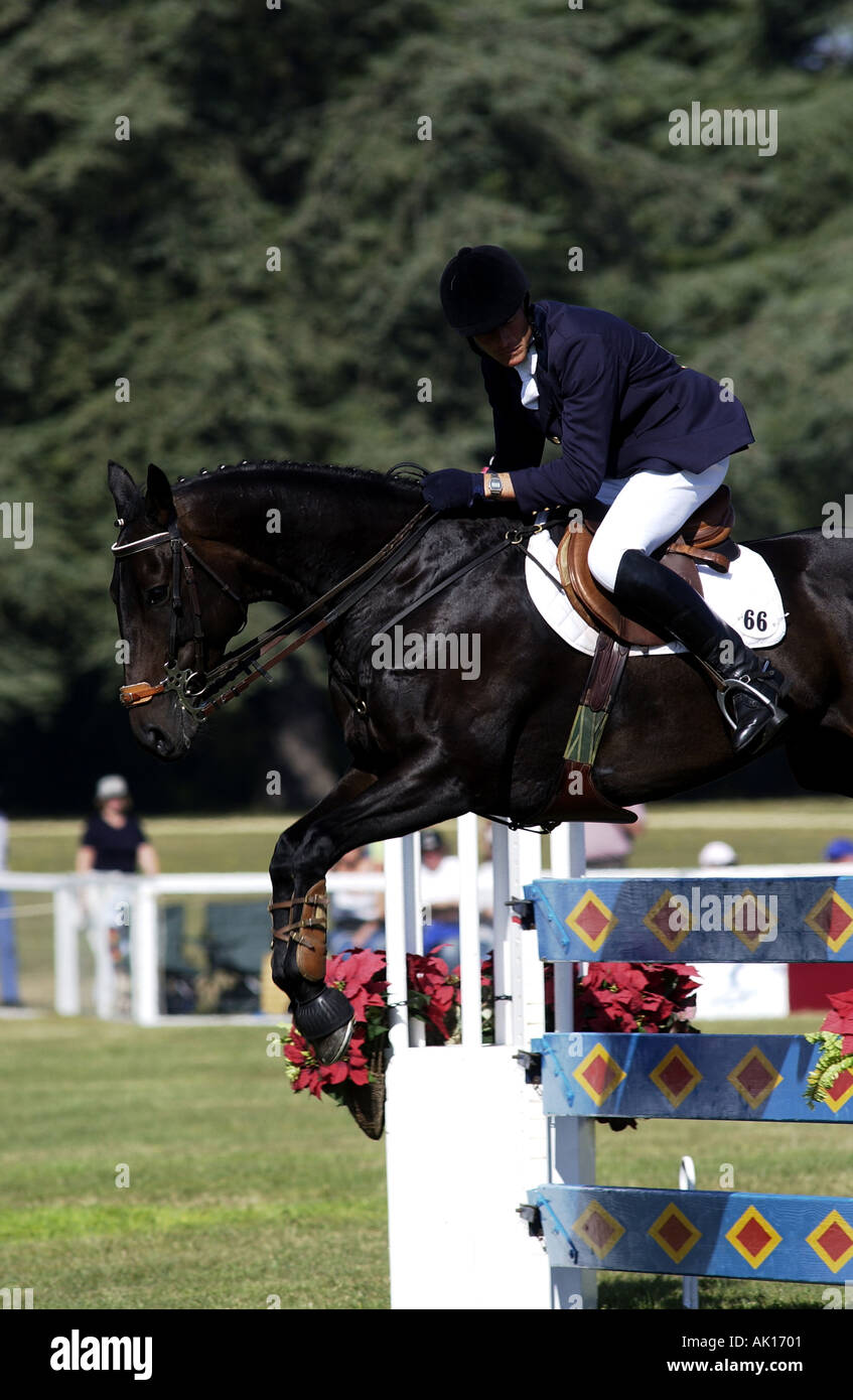 Hélicine hi-res stock photography and images - Alamy