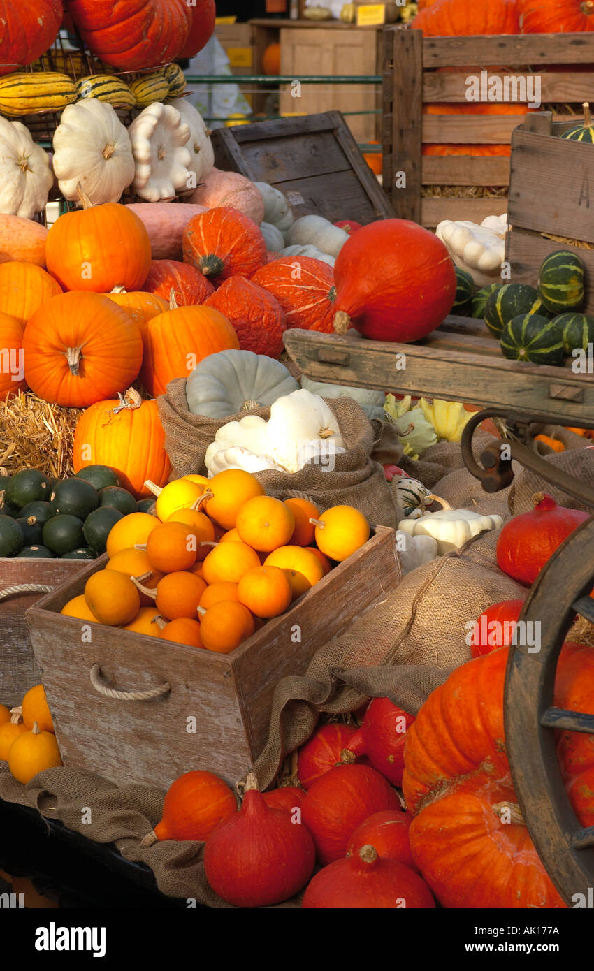 Cubits hi-res stock photography and images - Alamy