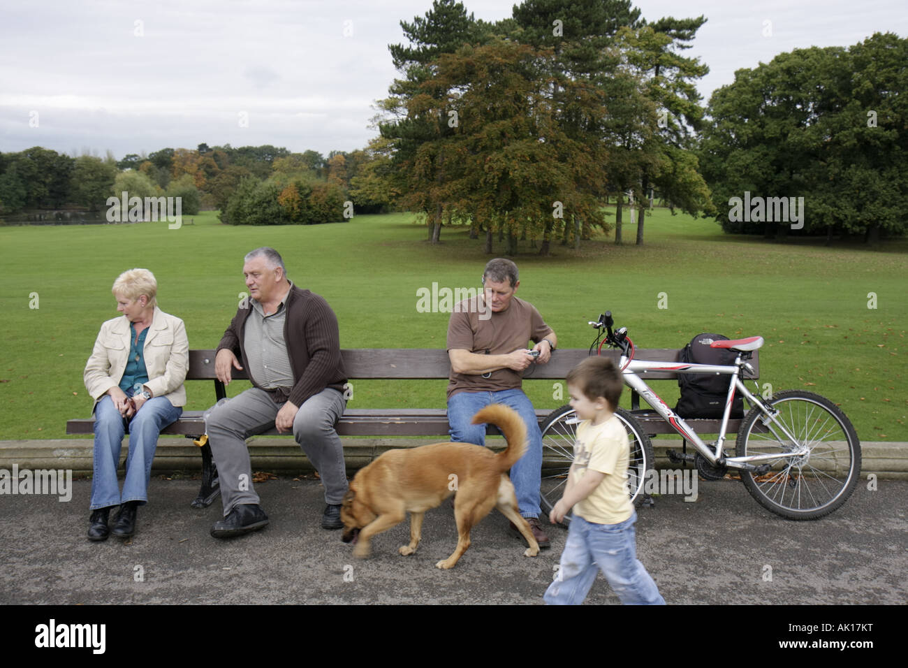 Kids riding dogs hi-res stock photography and images - Alamy