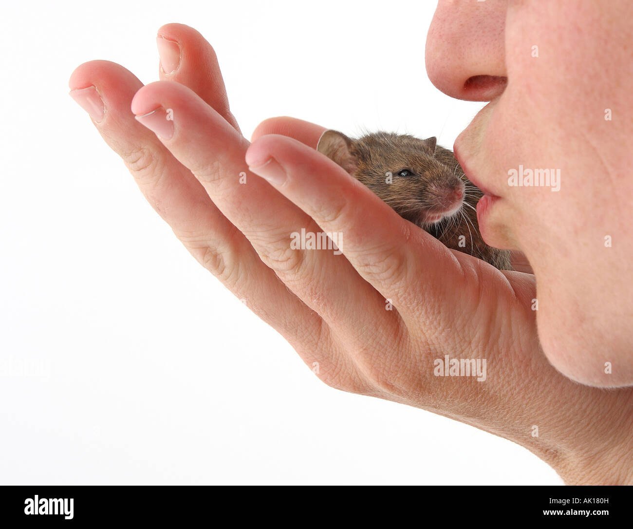 Human ear mouse hi-res stock photography and images - Alamy