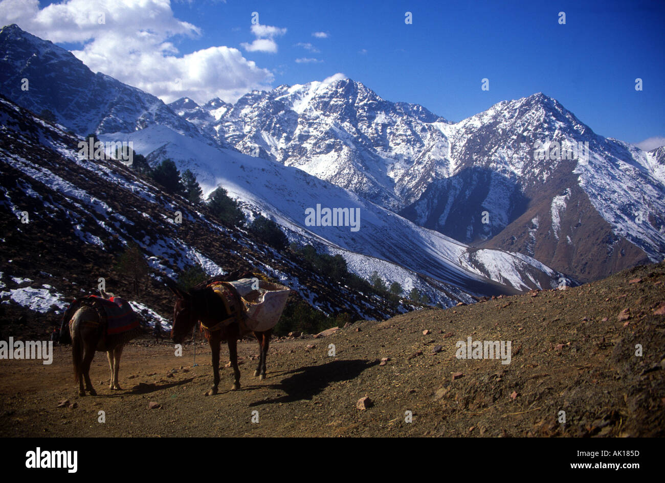 Trekking in the Atlas Mountains winter near Imlil and the Jebel Toubkal ...