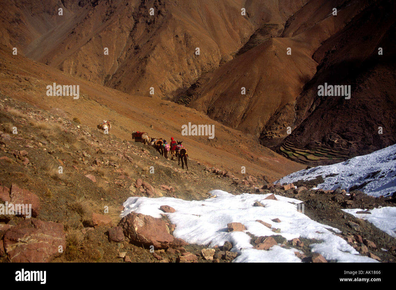 Trekking in the Atlas Mountains in winter near Imlil and the Jebel ...
