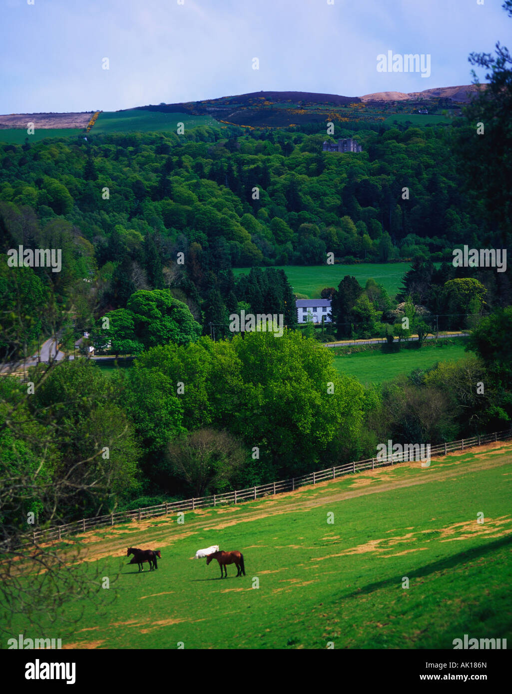 Vale of avoca hi-res stock photography and images - Alamy