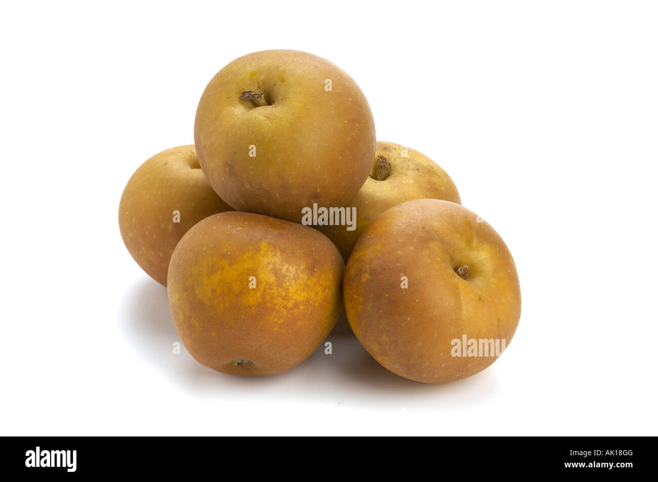 English Russet Cut Out Stock Images & Pictures - Alamy