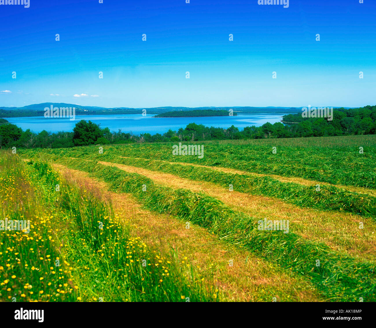 Co Fermanagh, Lower Lough Erne, Boa Island, Ireland Stock Photo - Alamy
