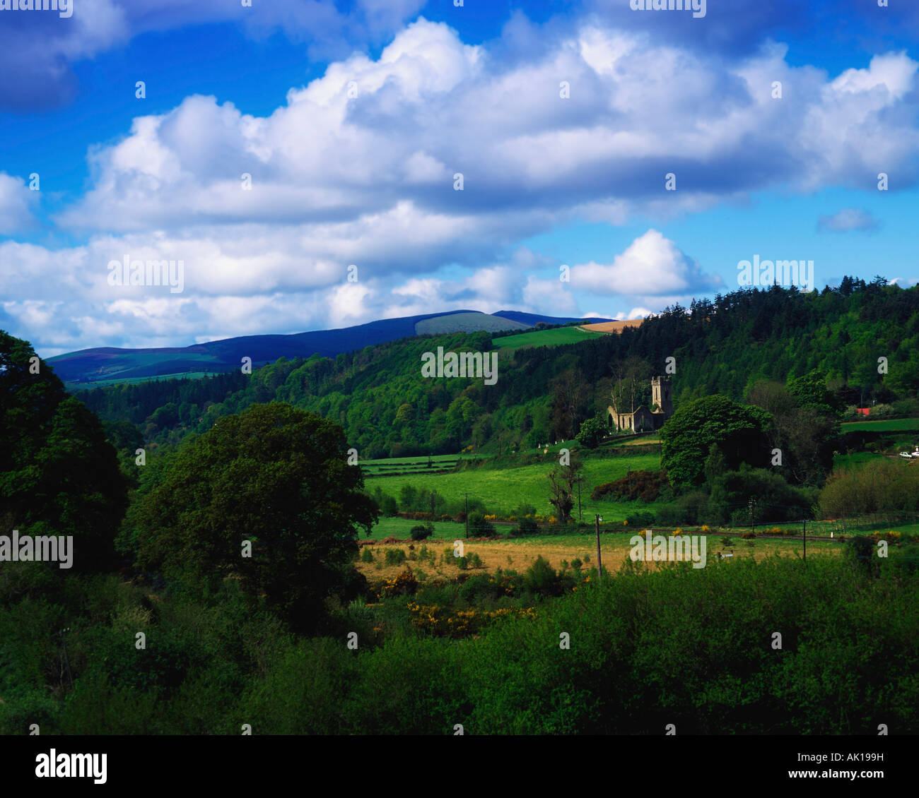Vale of avoca hi-res stock photography and images - Alamy
