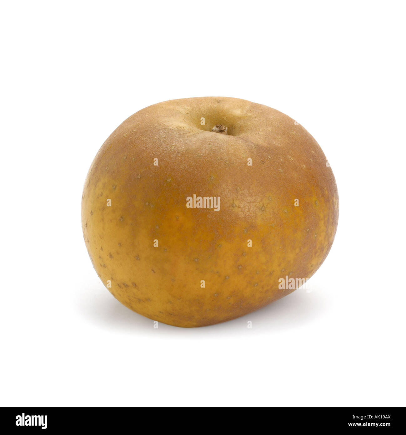 Egremont Russet apple Stock Photo - Alamy