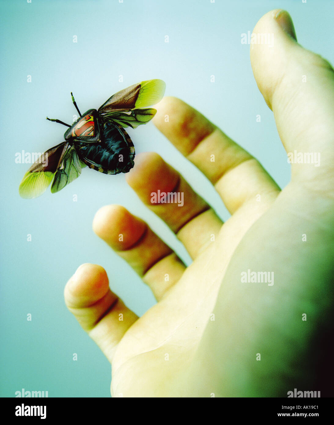 Image 2 from the Born On Wednesday collection by Theo Chalmers Stock ...