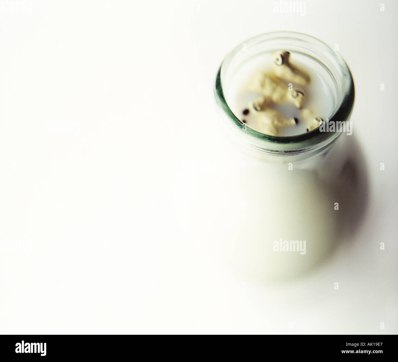 Image 8 from the Born On Wednesday collection by Theo Chalmers Stock ...