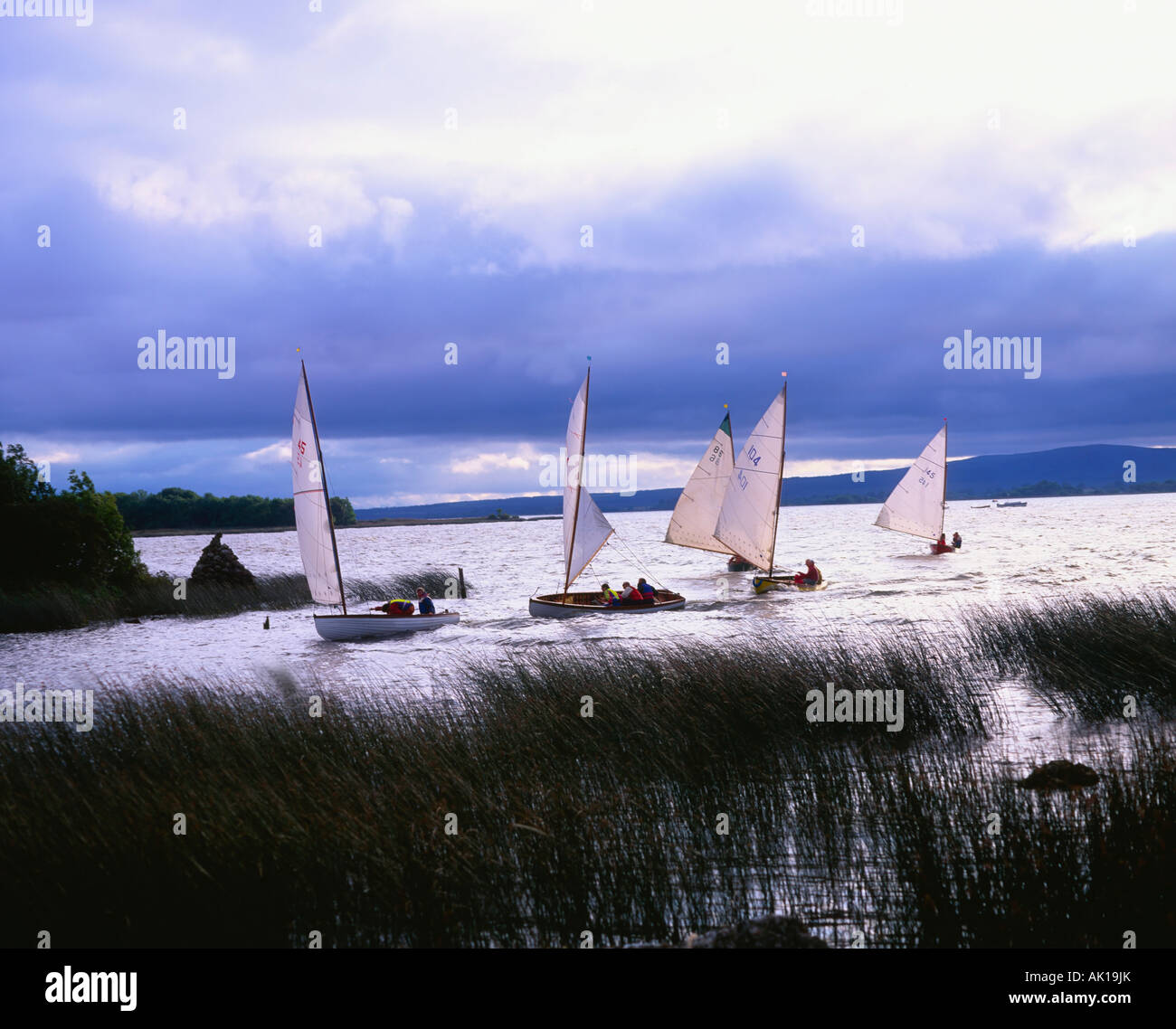 Shannon one design hi-res stock photography and images - Alamy