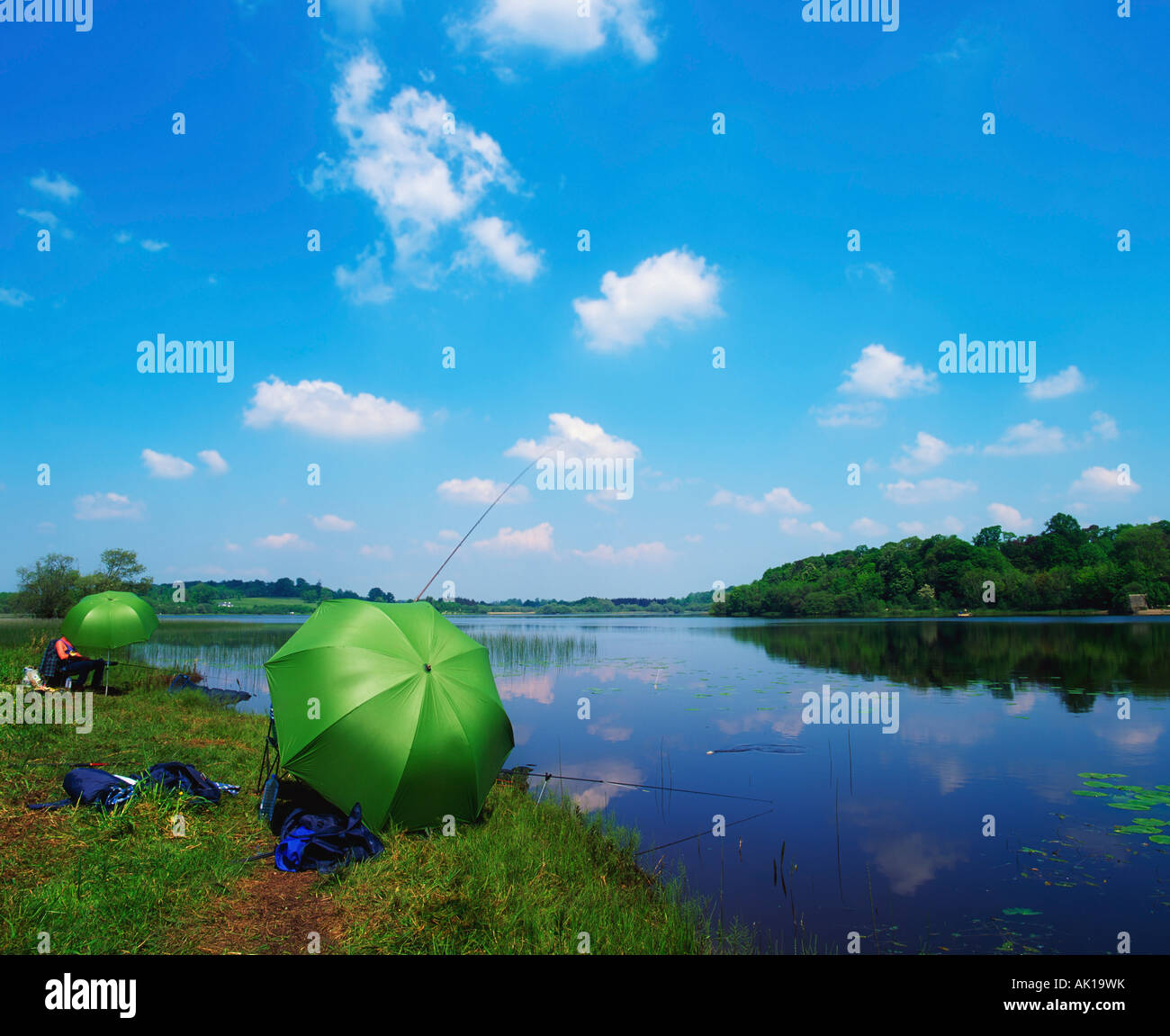 Rynn High Resolution Stock Photography and Images - Alamy