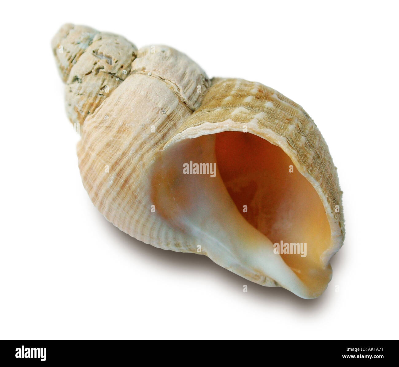 Non secure Cut Out Stock Images & Pictures - Alamy