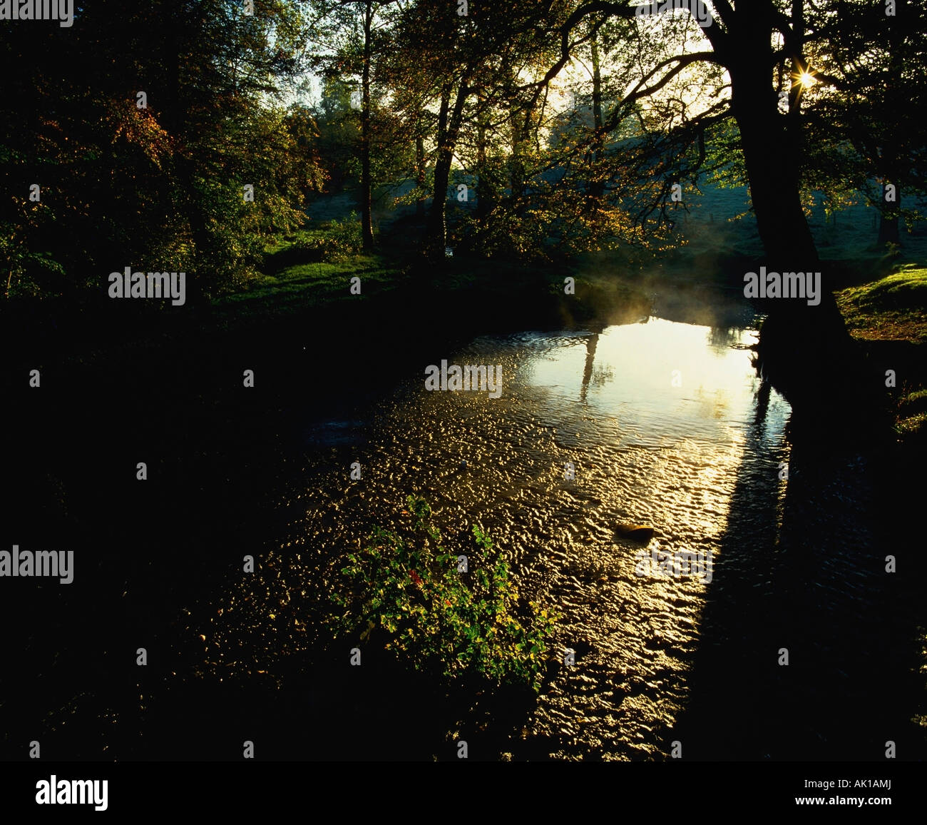 Minnowburn belfast hi-res stock photography and images - Alamy