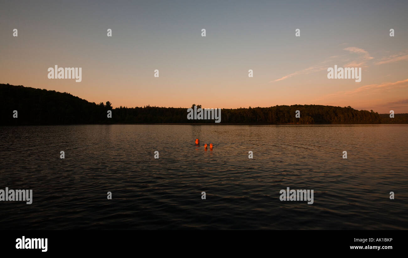man floating in lake at sunset Stock Photo - Alamy