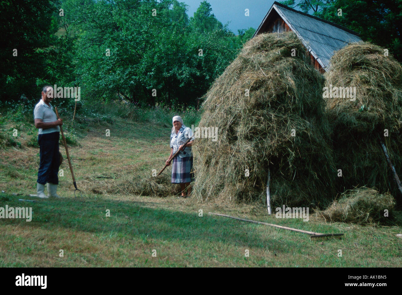 Farmer harvesting hay / Bauern bei der Heuernte Stock Photo - Alamy