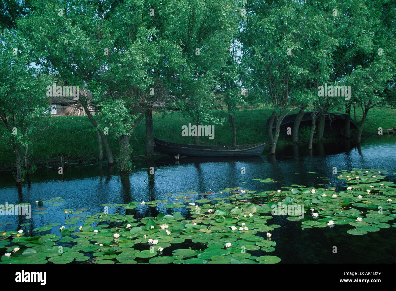 Fluss boot hi-res stock photography and images - Alamy