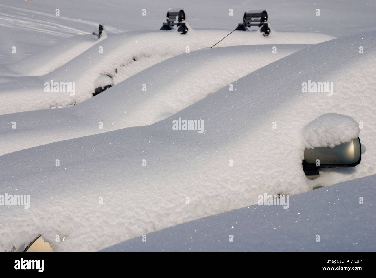 Fresh white snow lines a row of cars Stock Photo - Alamy
