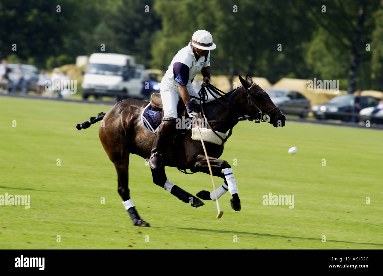 HILDON QUEENS CUP NO ERNASTO TROTZ Stock Photo - Alamy