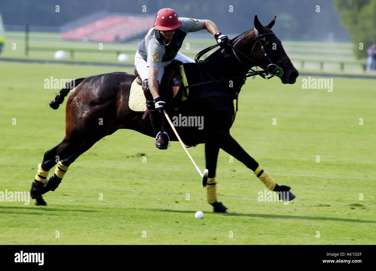 HILDON QUEENS CUP NO 3 GLEN GILMORE Stock Photo - Alamy