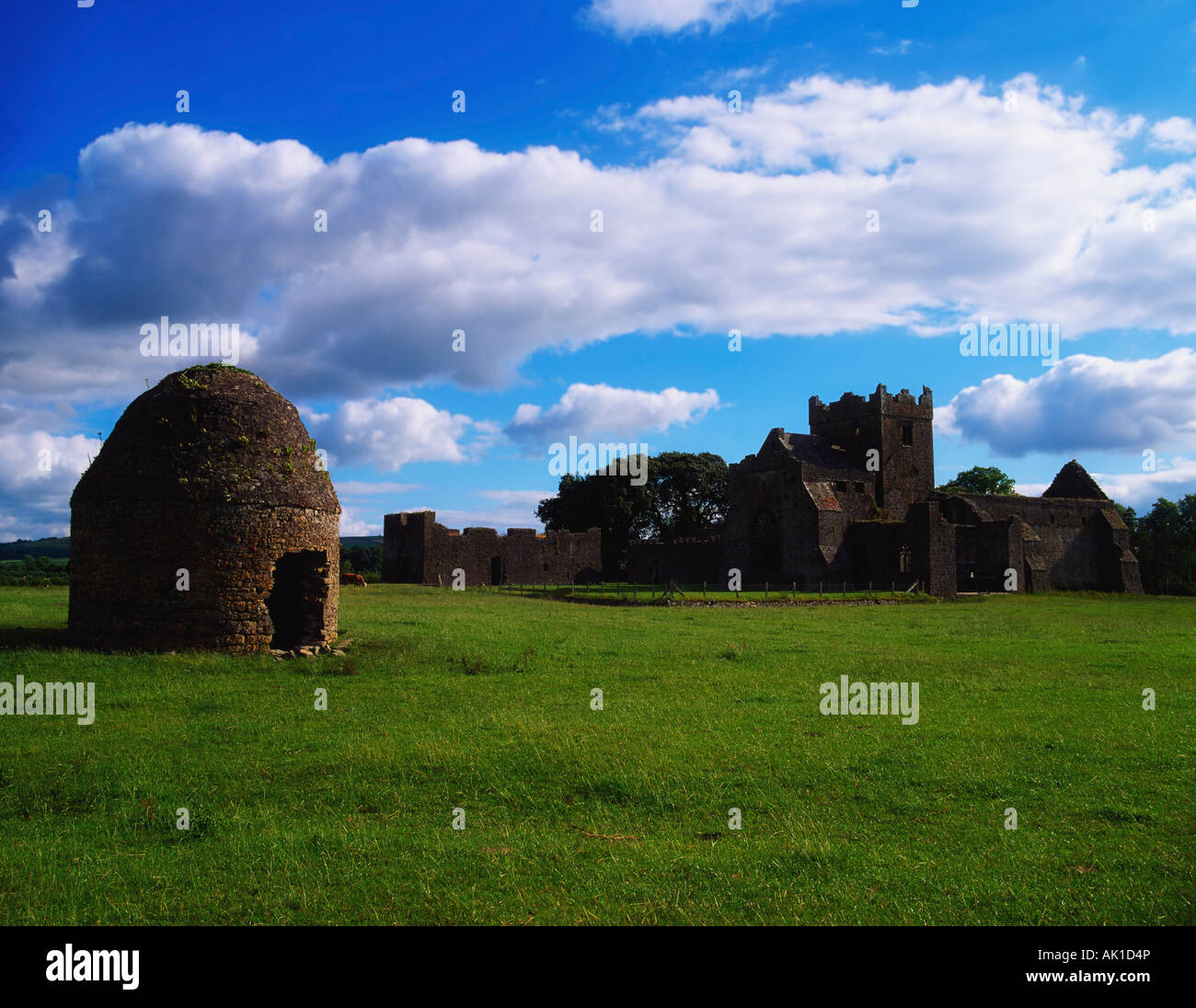 Kilcooleyabbey hi-res stock photography and images - Alamy