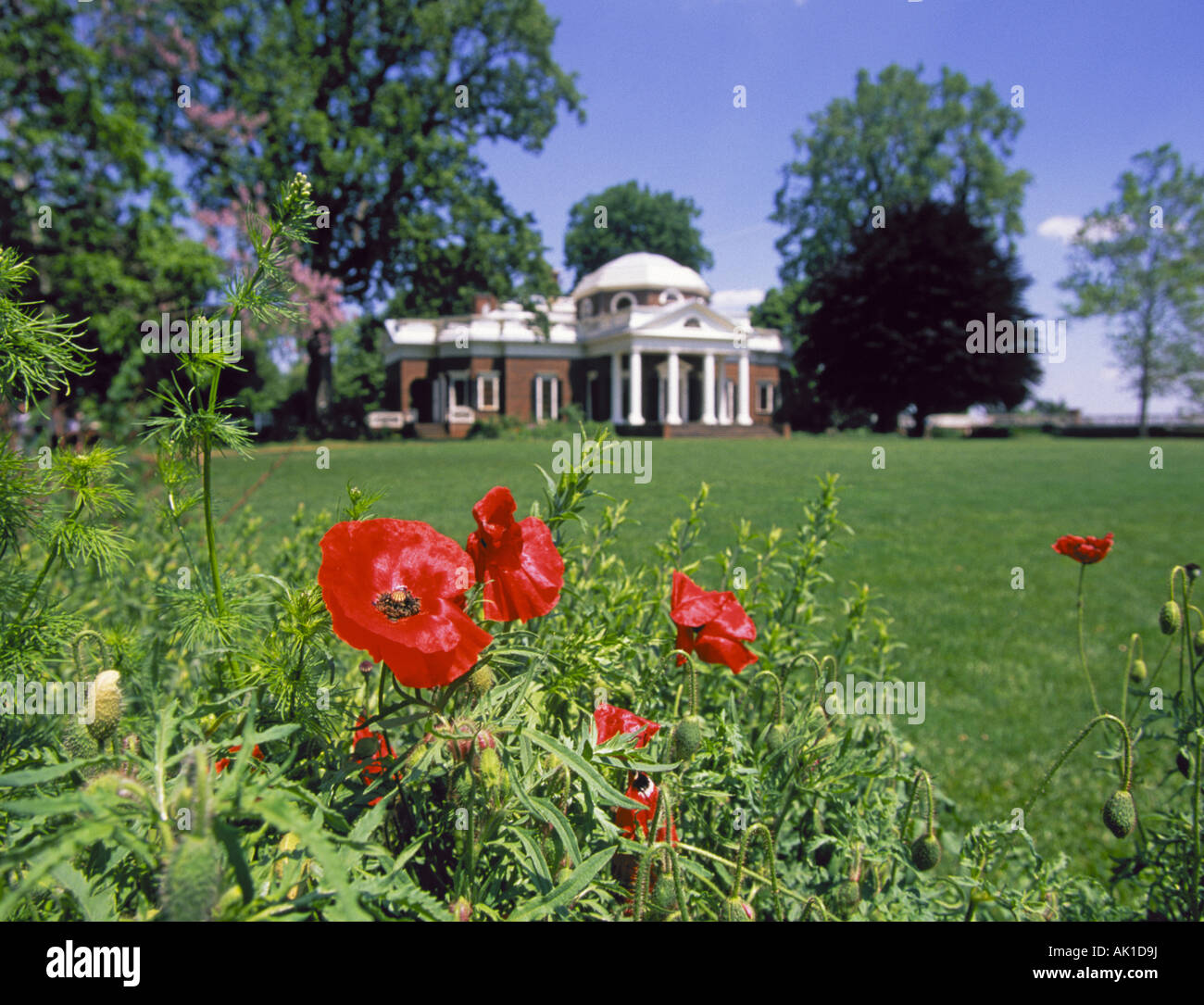 Monticello thomas jefferson garden hi-res stock photography and images ...