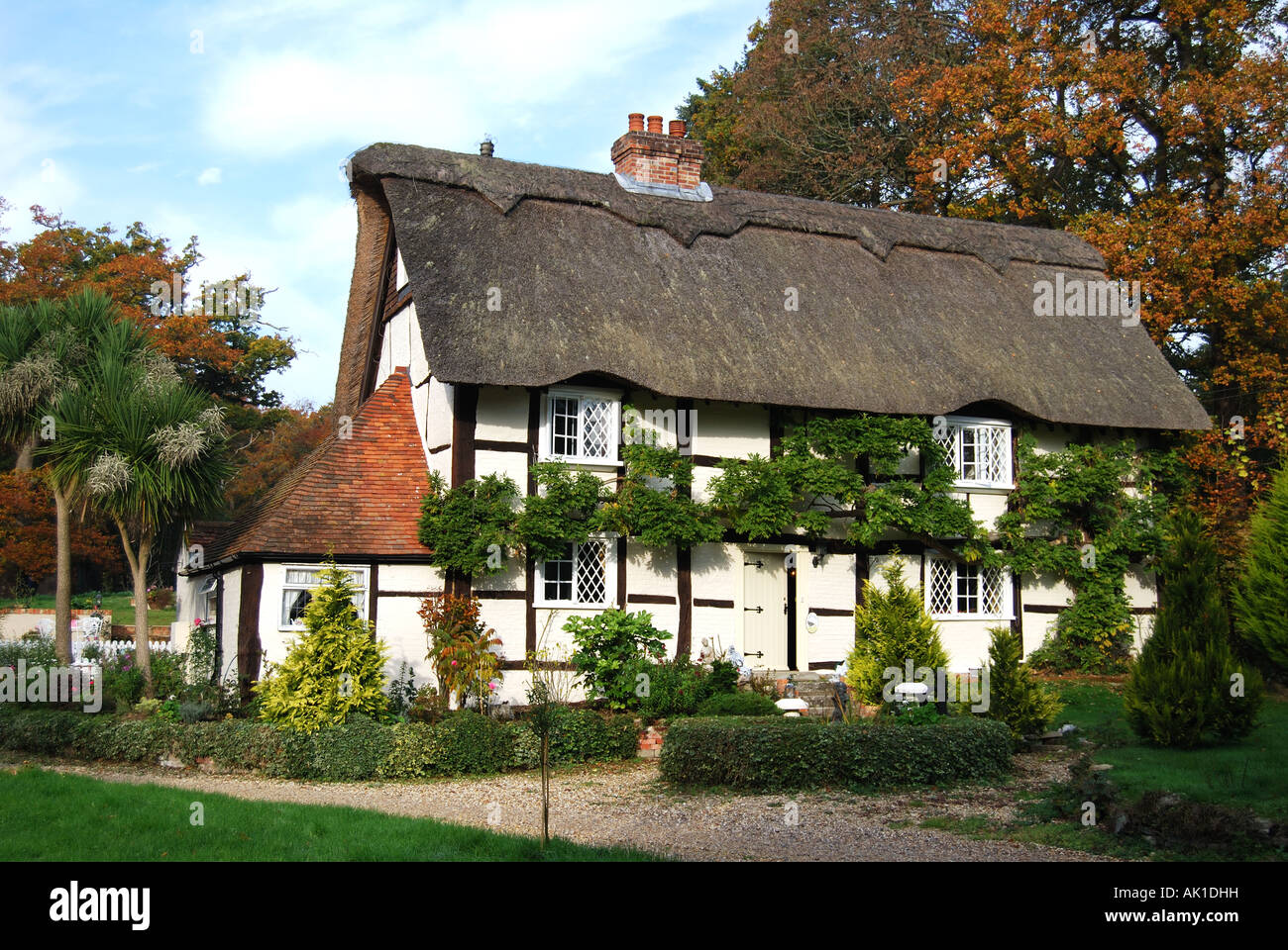 Attractive black white thatched cottage hi-res stock photography and ...