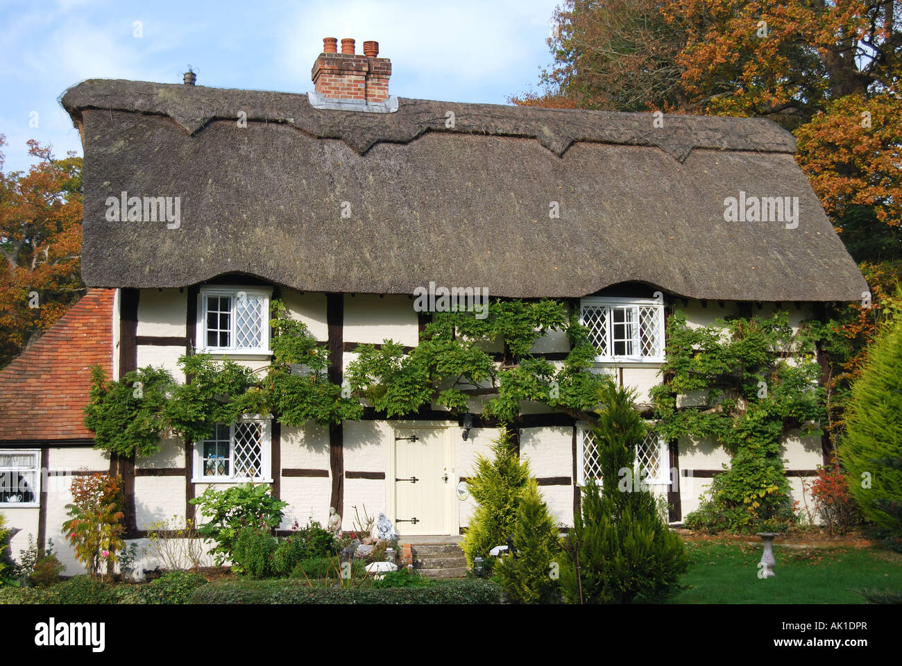 Black and white half timbered thatched cottage hi-res stock photography ...