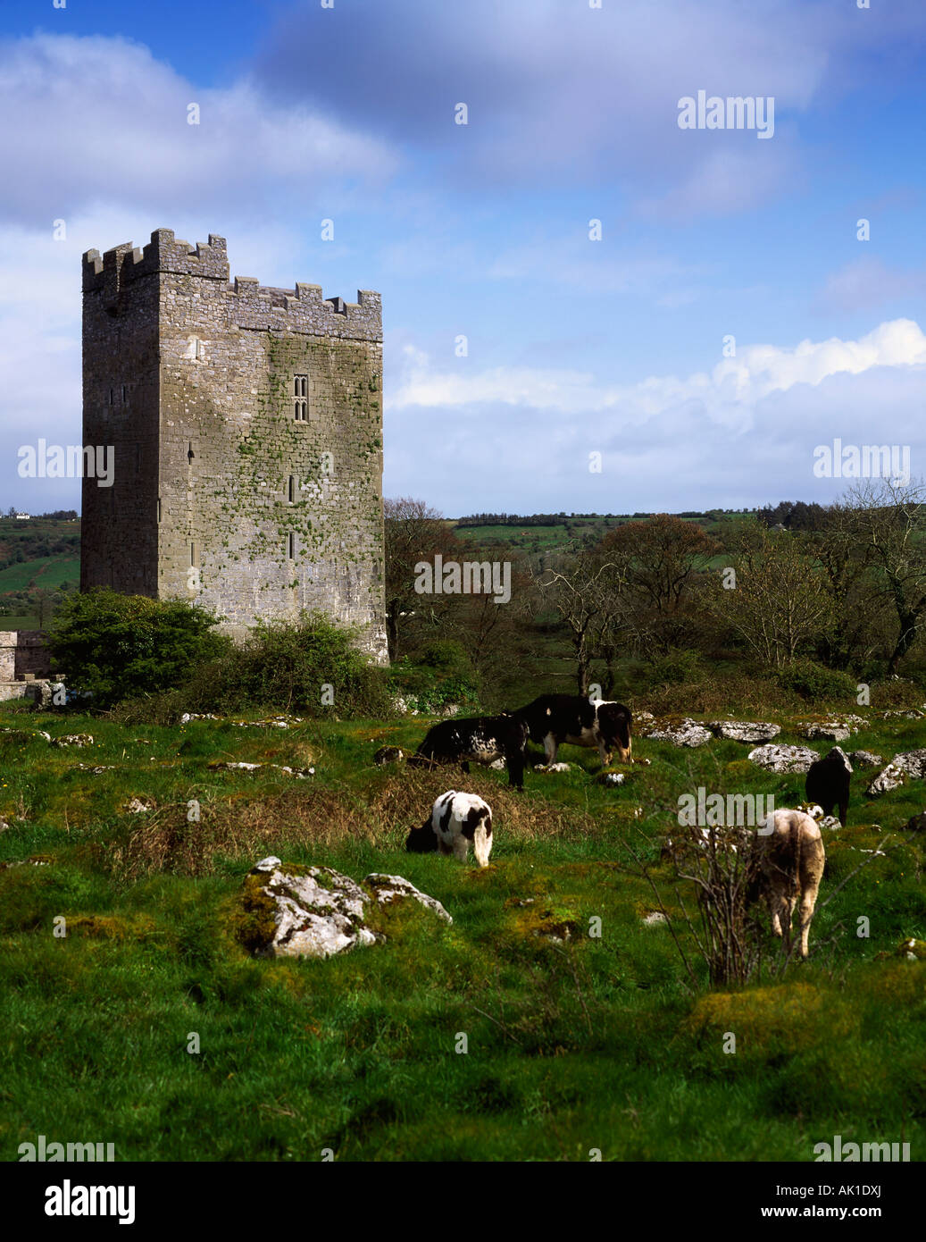 Roundwood, County Wicklow, Ireland Stock Photo - Alamy