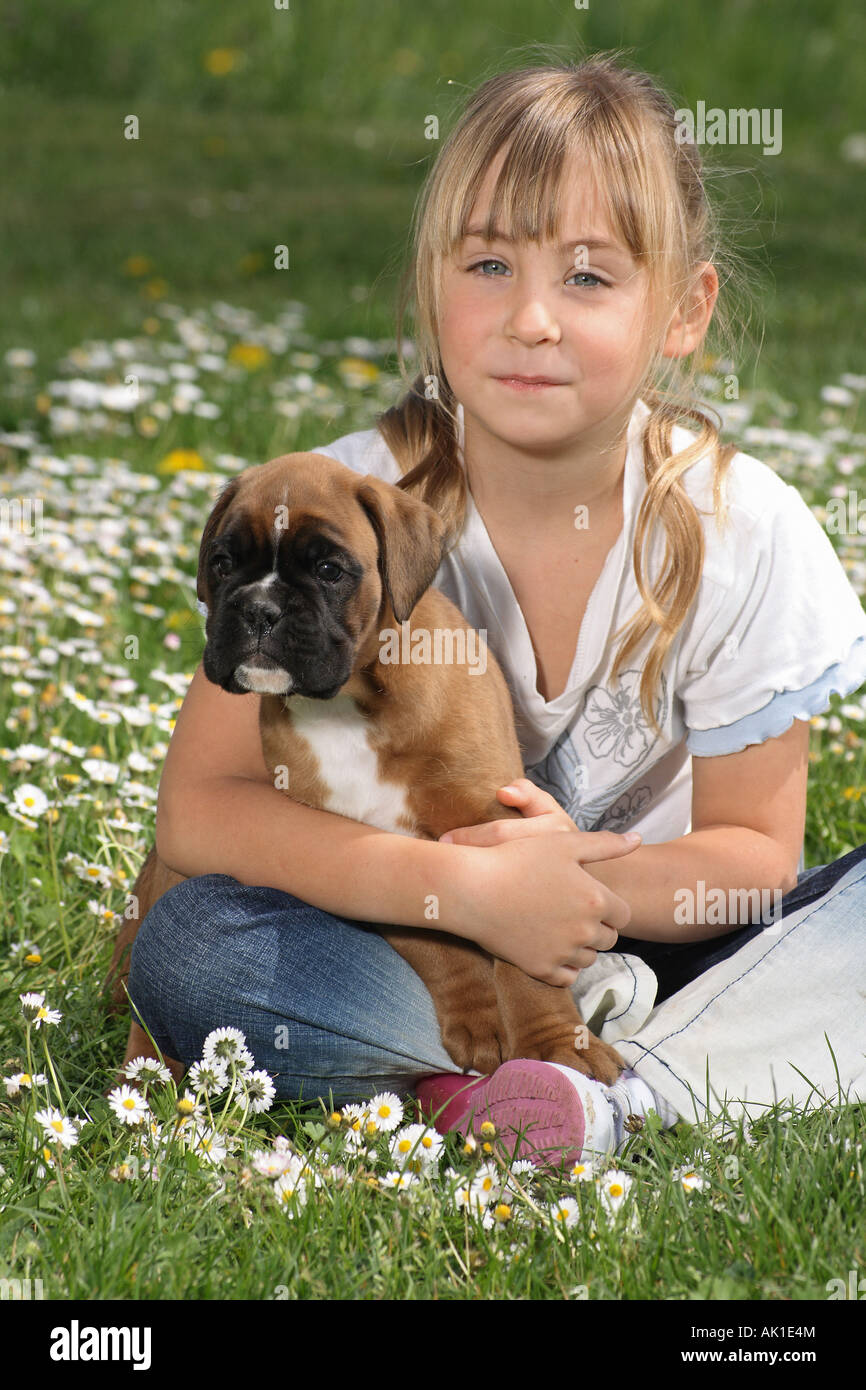 girl with Boxer puppy in arms sitting in the meadow Stock Photo - Alamy