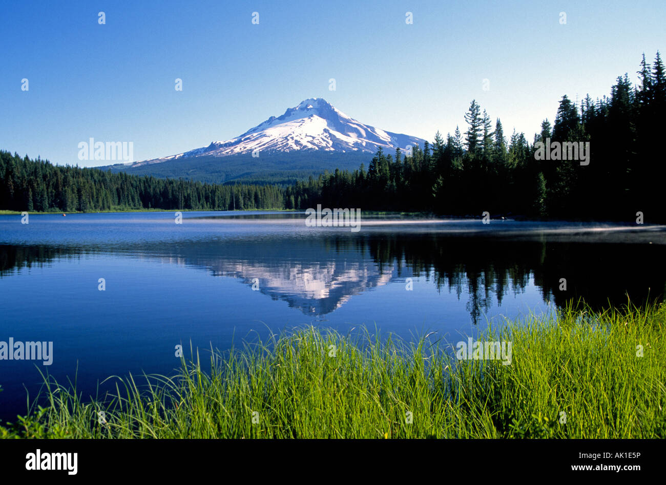 A view of Mount Hood highest peak in Oregon in the Oregon Cascade ...