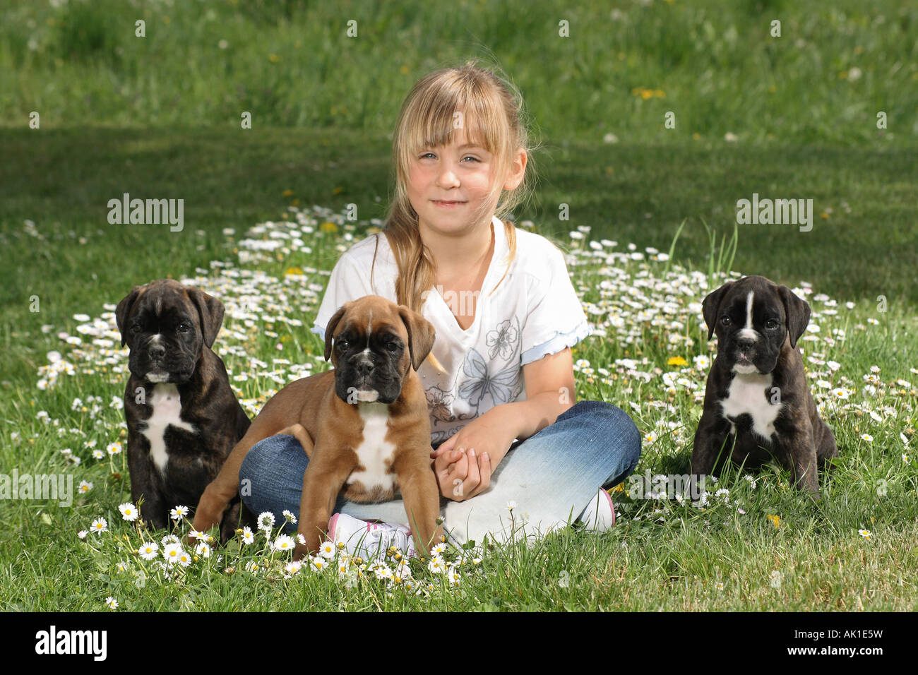 Girl with boxer puppy hi-res stock photography and images - Alamy