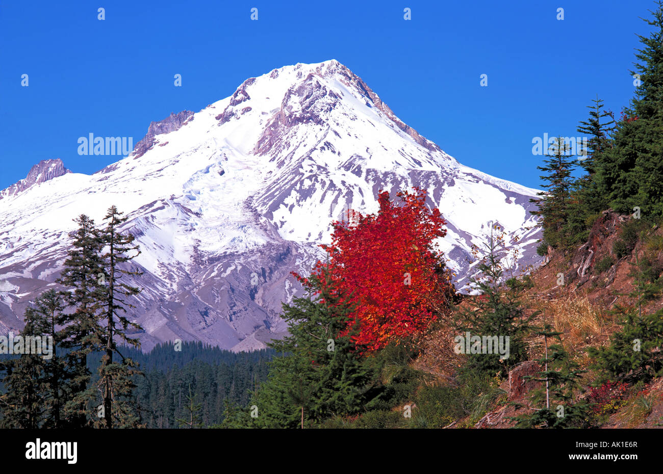 A view of Mount Hood highest peak in Oregon in the Oregon Cascade ...
